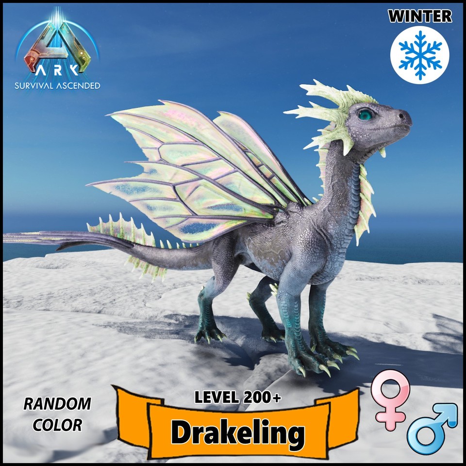 Ark Survival Ascended PC/PS5/XBOX PVE 🍁 Colored 🌞 DRAKELING ️ Level 200 ...