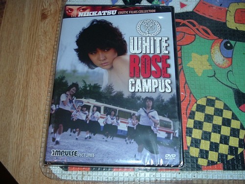 Nurse Diary: Wicked Finger (The Nikkatsu Erotic Films Collection) (DVD ...