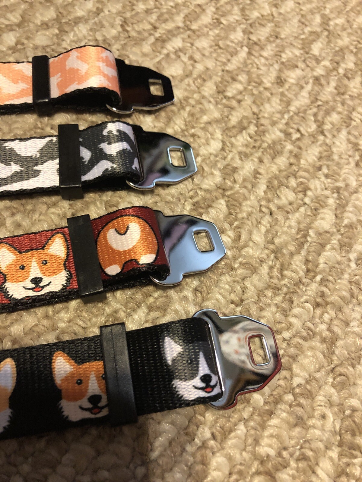 New! Dog Pet Collars From Buckle Down, Pembroke Welsh Corgi!! All ...
