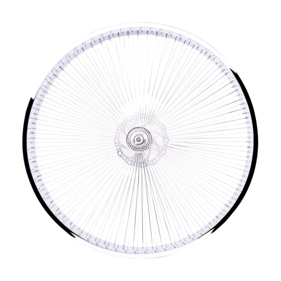 26" Coaster Mirror Chrome Bike Fat Rims Wheel Set with Disc Brake | eBay