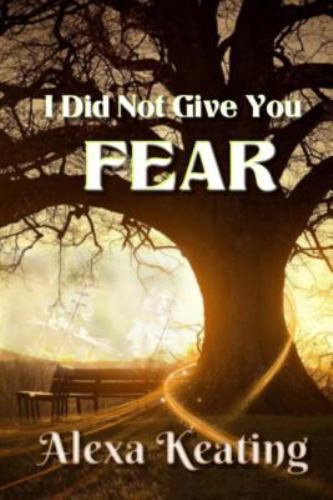 I Did Not Give You Fear by Alexa Keating (2014, Trade Paperback) for ...