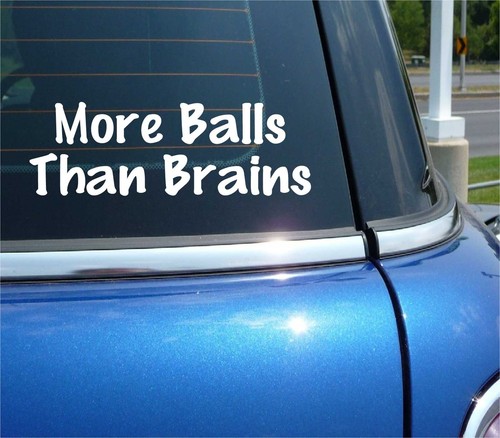 MORE BALLS THAN BRAINS DECAL STICKER FUNNY CRAZY RISK TAKER BRAVE CAR ...