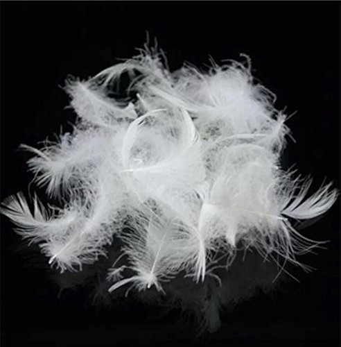 Bulk Goose Down Feather Stuffing & Fill â€“ Hypoallergenic Pillow ...