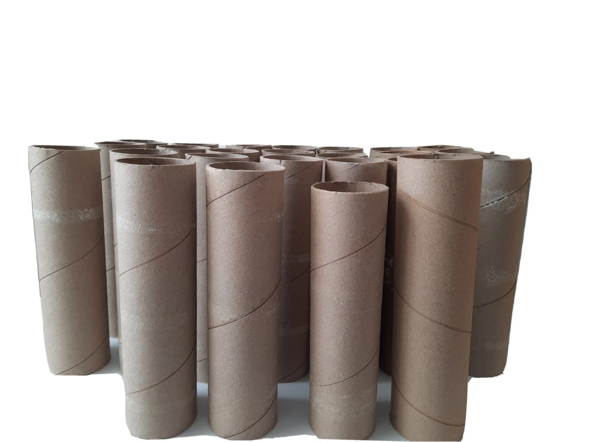 Empty Paper Towel Roll