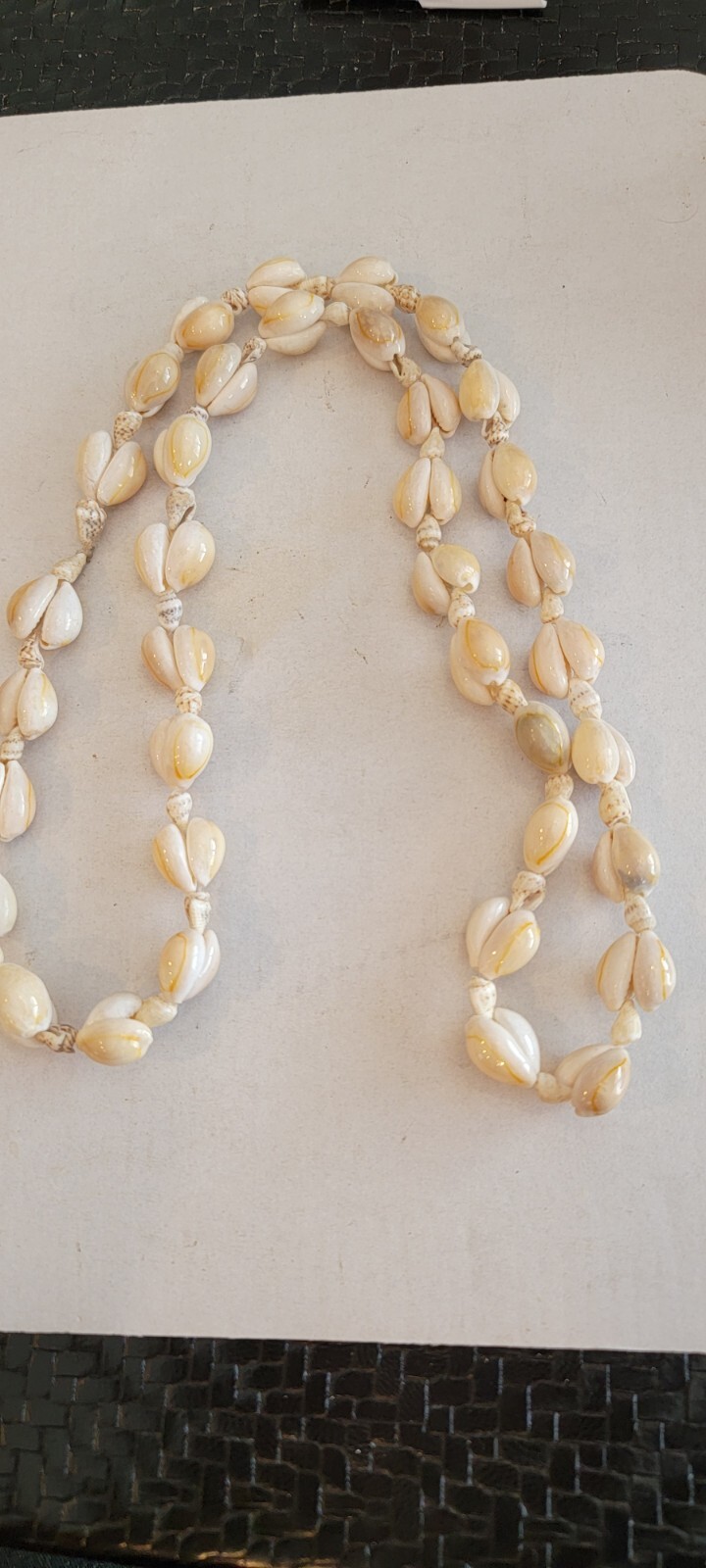 Natural Cowrie Boho Beach Sea Shell Necklace 30" - Gem