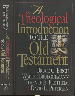 Bruce C Birch / Theological Introduction to the Old Testament 1st ...