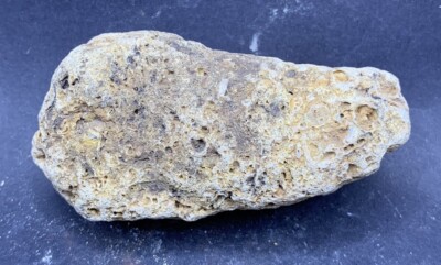 Fossilized Indiana Agate crinoid Stems In Jasper Bedrock 2oz | eBay