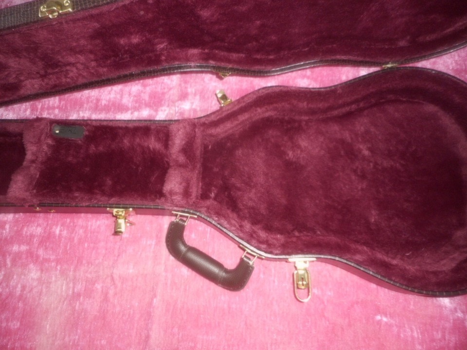 Canadian Made Les Paul Special Double Cut Case for Gibson Les Paul (New ...