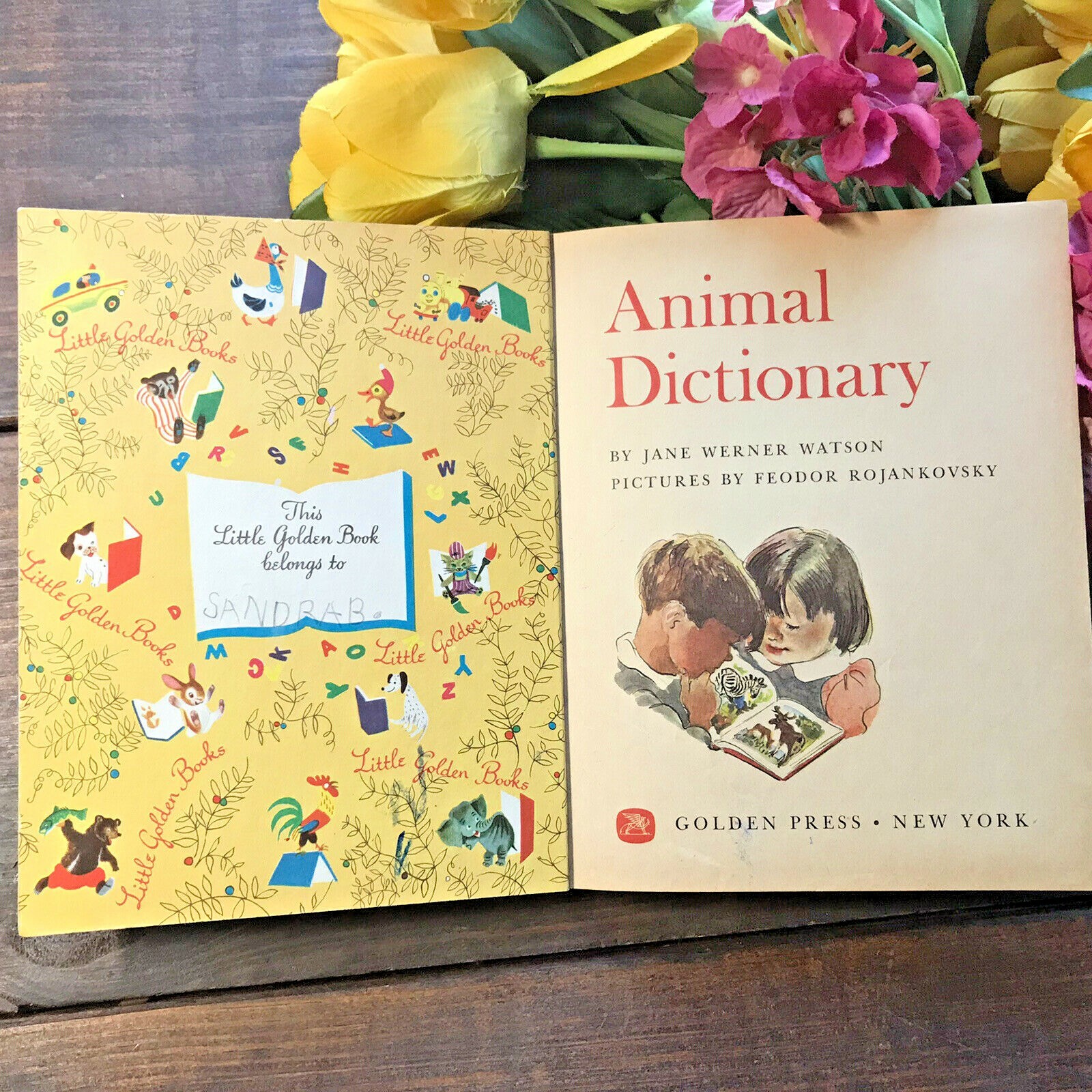 Little Golden Book ANIMAL DICTIONARY "A" First Edition 1960s | eBay