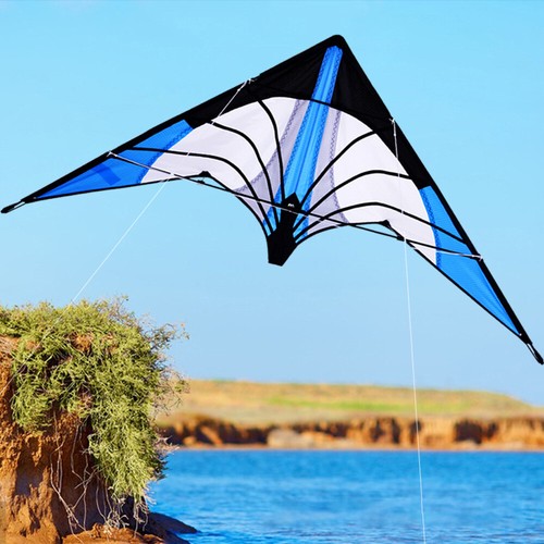 Good Flying Stunt Kite 48 Inch Blue Large Delta Kite Flying Kite Friend ...