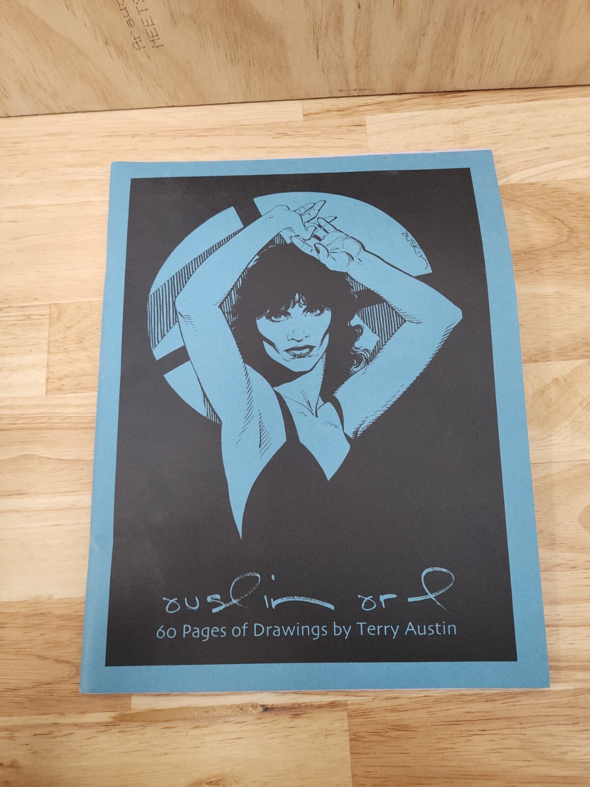 AUSTIN ART DRAWINGS SIGNED TERRY AUSTIN 2003 Sketchbook TPB | eBay