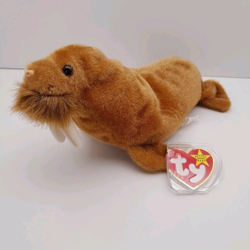 TY Beanie Baby PAUL the Walrus Plush (7 inch) MWMT's Stuffed Animal Toy ...