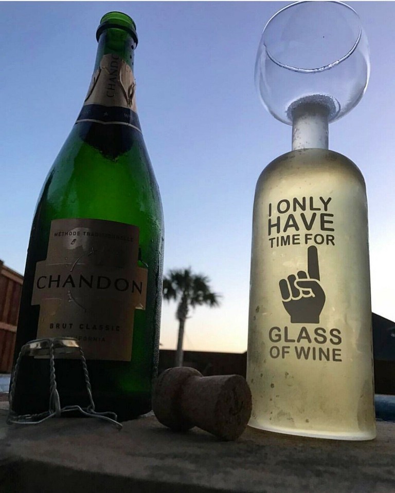 I ONLY HAVE TIME FOR ONE GLASS - Ultimate Wine Bottle - BigMouth Inc ...