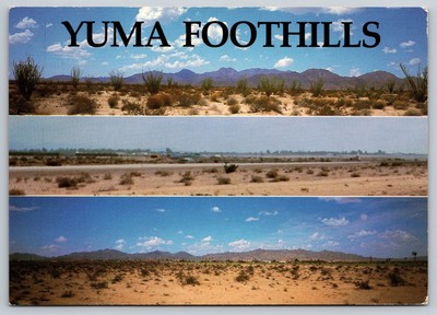 Yuma Arizona Foothills Postcard | eBay