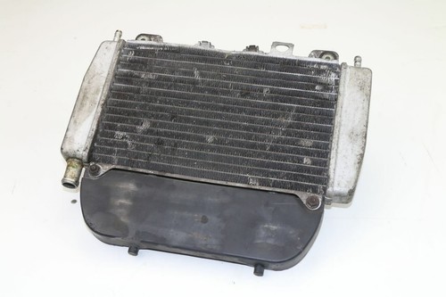 COOLANT RADIATOR - PIAGGIO X9 EVOLUTION 125 ( 2003 - 2007) | eBay