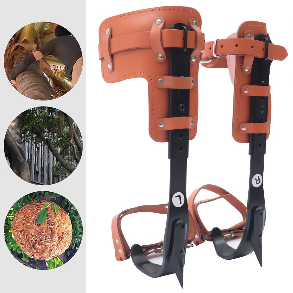 Tree Climbing Spike Kit Pole Climbing Spurs Steel Adjustable Climber ...