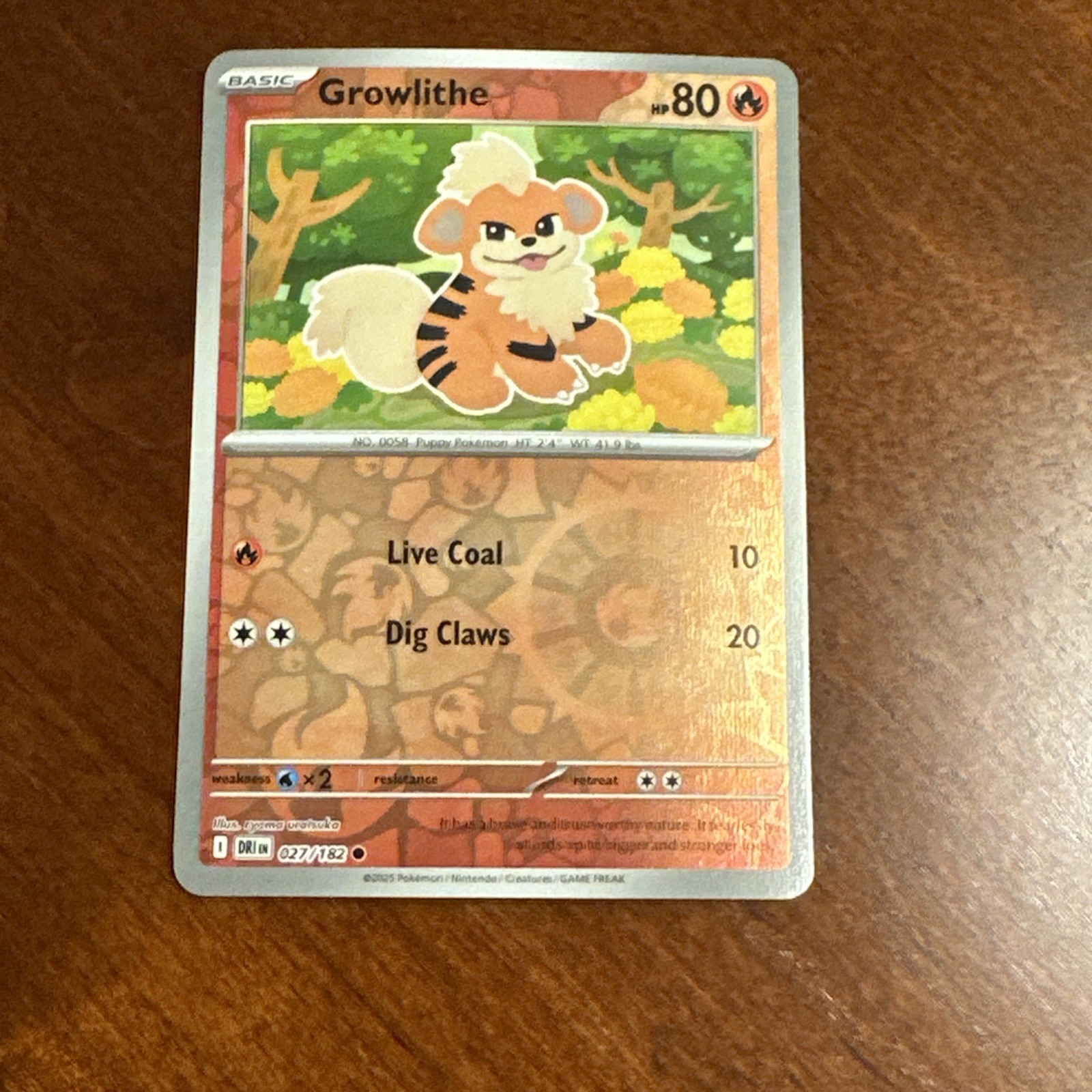 Growlithe 2025 Scarlet & Violet: Destined Rivals #027/182 Reverse Holo ...