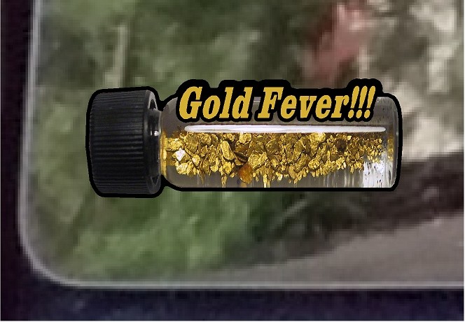 ProSticker 602 (One) 2.3" x 6.25" Gold Fever Decal Sticker Prospecting ...