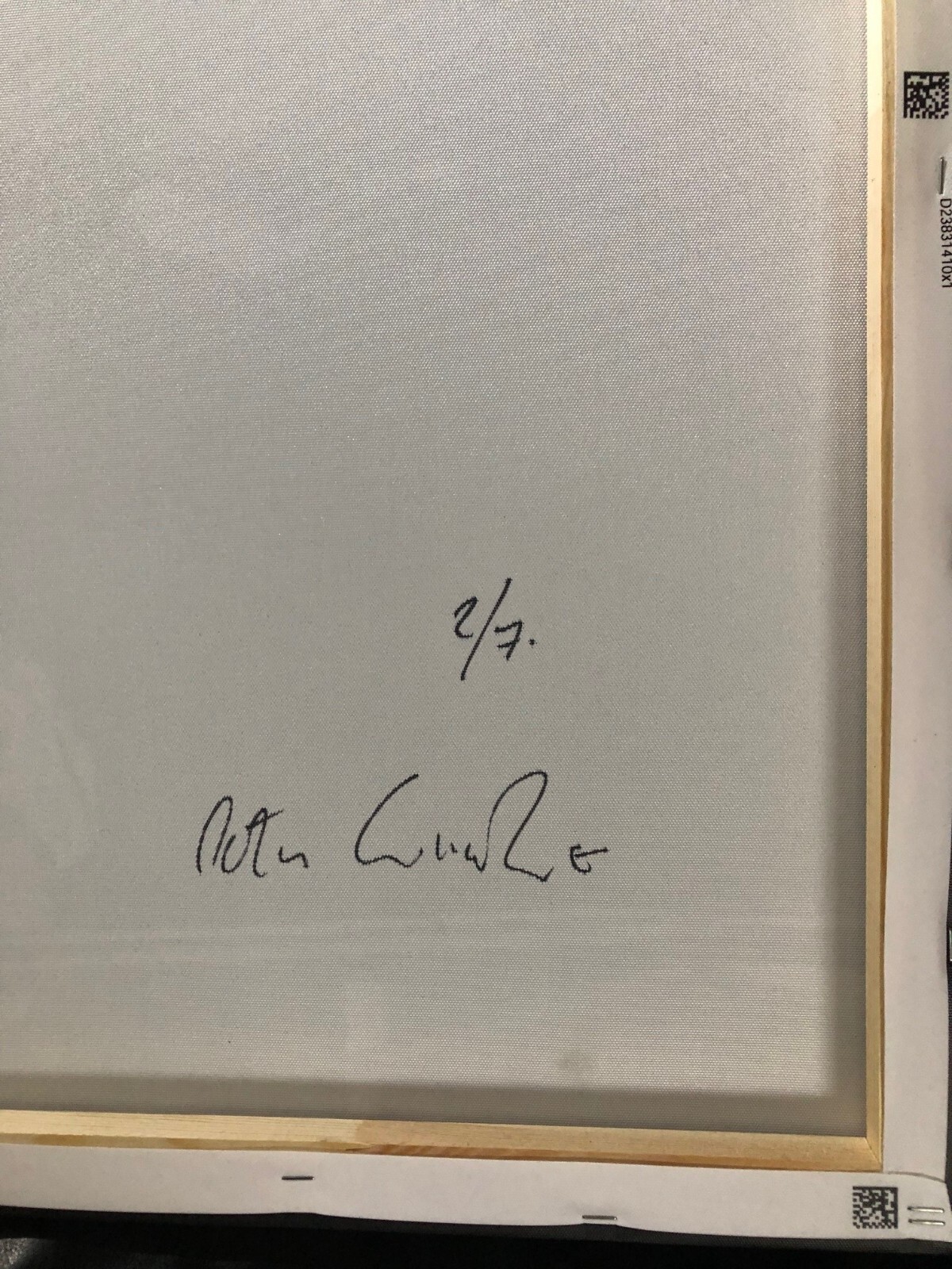 LTD EDITION PETER KODICK GRAVELLE SIGNED & NUMBERED SEX PISTOLS JOHNNY ...