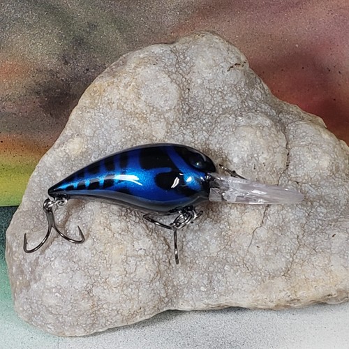 Custom Painted, Wiggle Wart Type Crankbait, Blue and Black. | eBay
