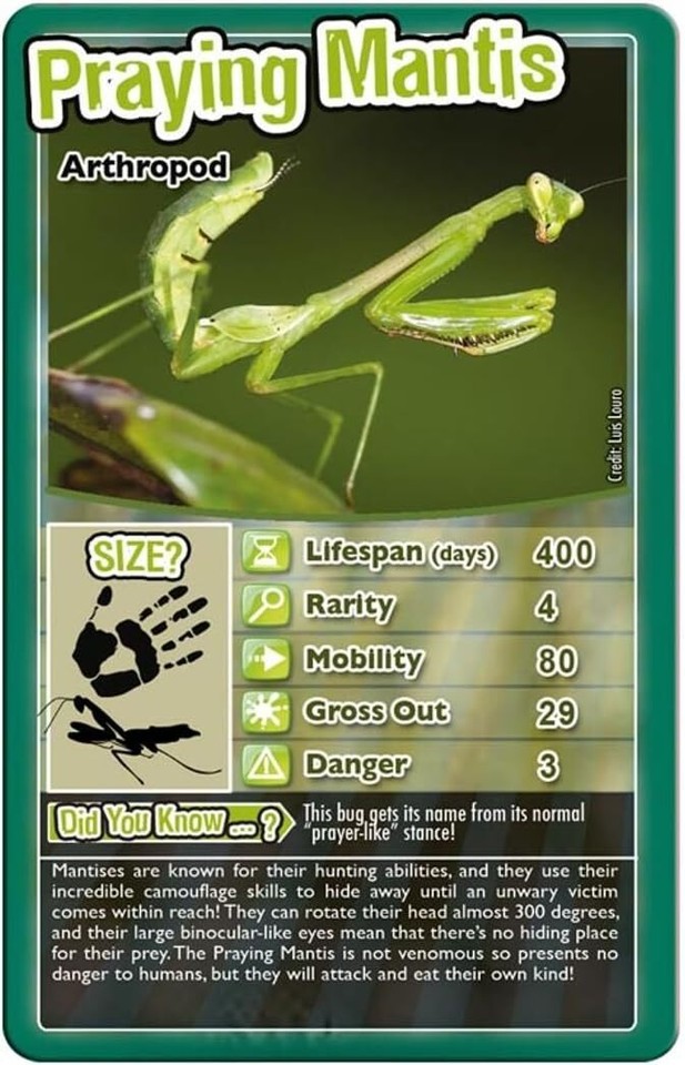 Top Trumps Bugs Classic Card Game, learn facts about the Black Widow ...