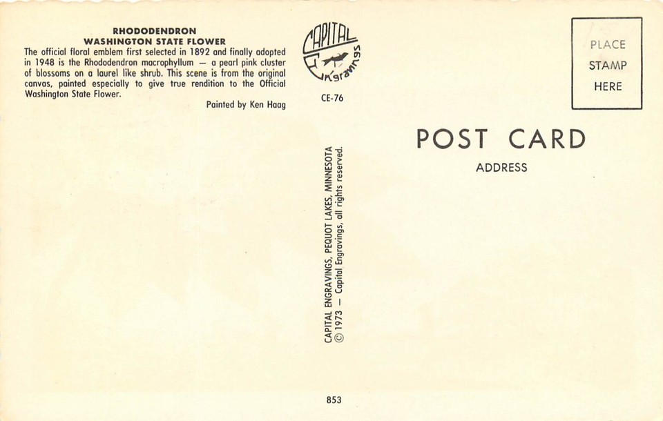 Postcard State Flower Washington Rhododendron Ken Haag Unposted Artist ...