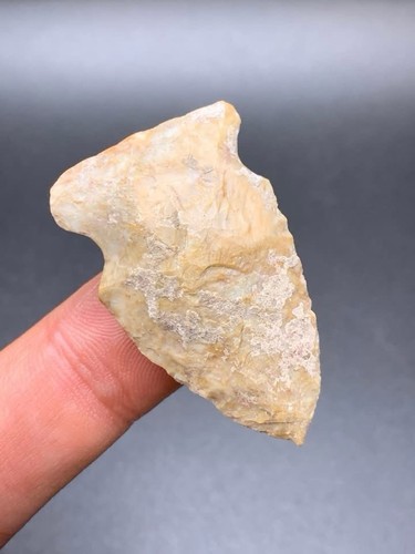 Authentic Side Notch Arrowhead From Pulaski Co Kentucky 1 5/8 Inch Ft ...