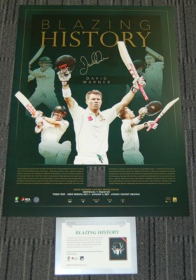 DAVID WARNER AUSTRALIA CRICKET HAND SIGNED BLAZING HISTORY CENTURY ...