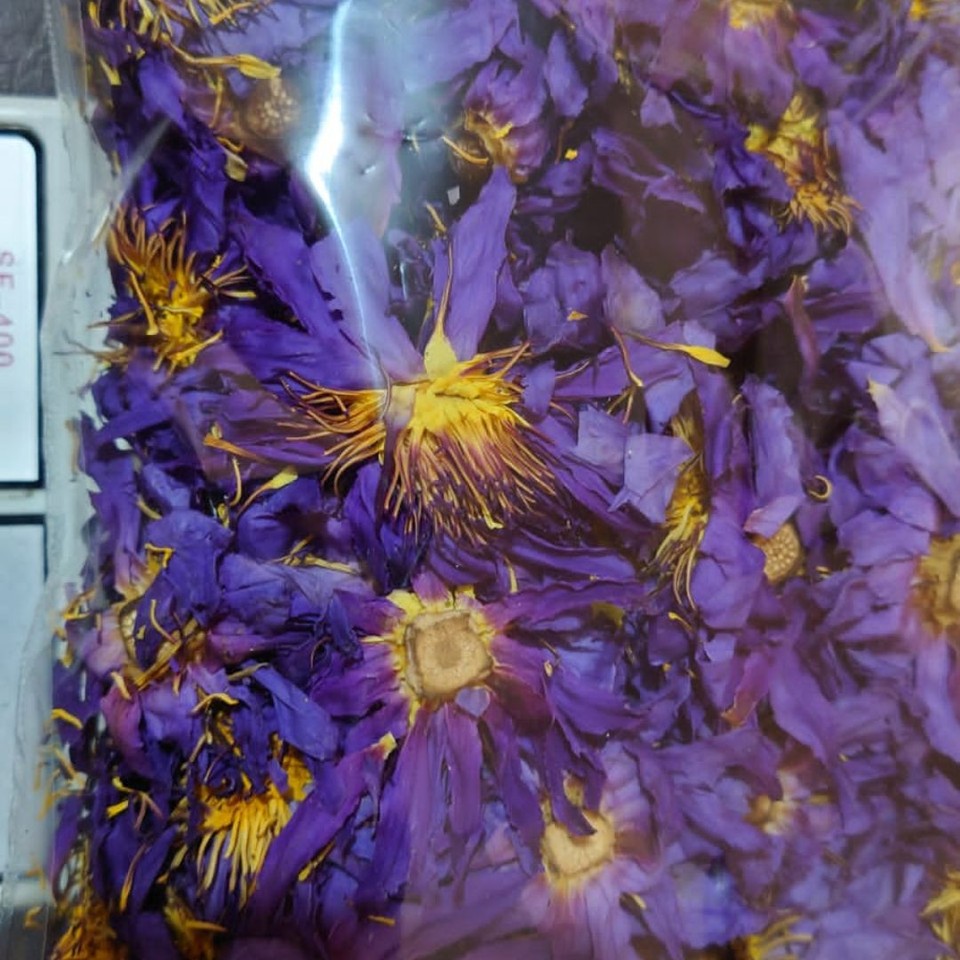 Ceylon Blue Lotus Nymphaea Caerulea Organic Dried Flower Tea Natural ...