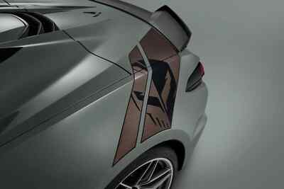 2023-2024 Corvette C8 ZO6 Rear Jake Graphics Pkg 85641579 Carbon Flash ...