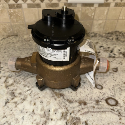 Neptune T-10 3/4” Water Meter E-Coder R900i RW2F21 | eBay