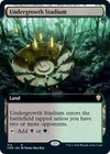 Mint/Near-Mint, English - 1 x MTG Undergrowth Stadium - Foil - Extended ...