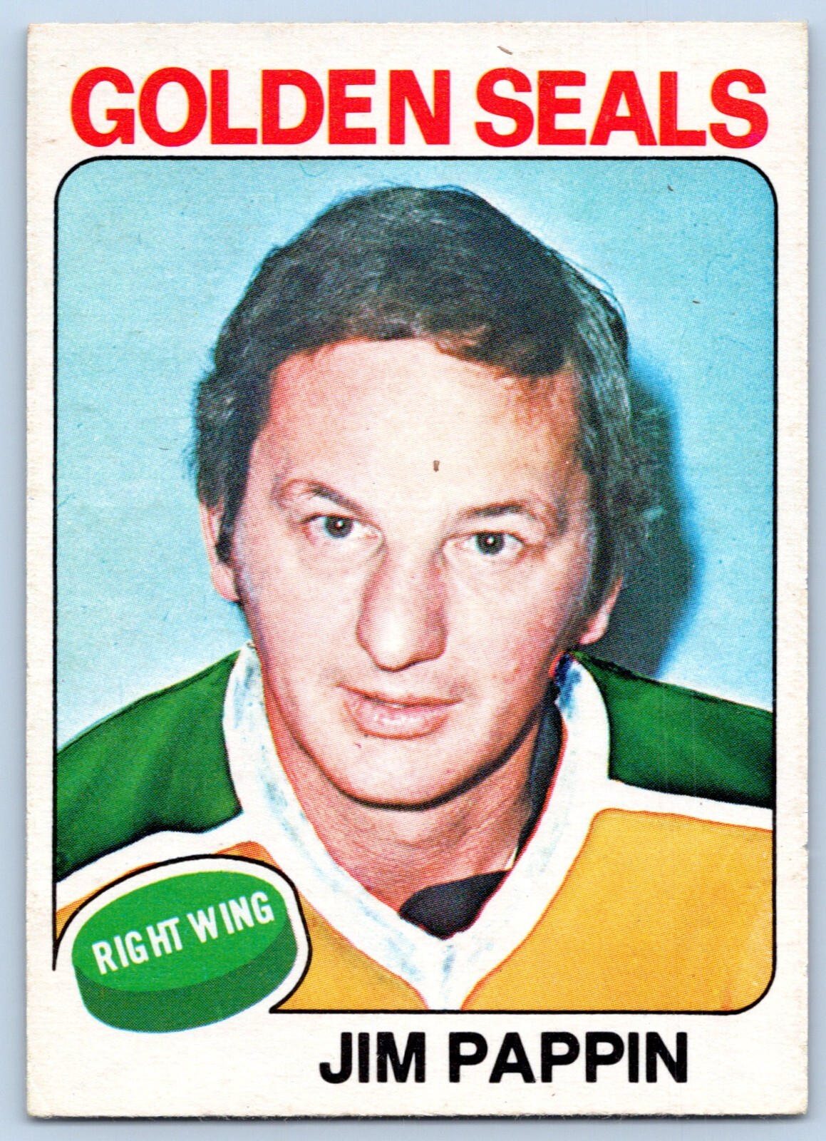 JIM PAPPIN 1975-76 O-PEE-CHEE 75-76 NO 234 VGEX+ 50744 | eBay