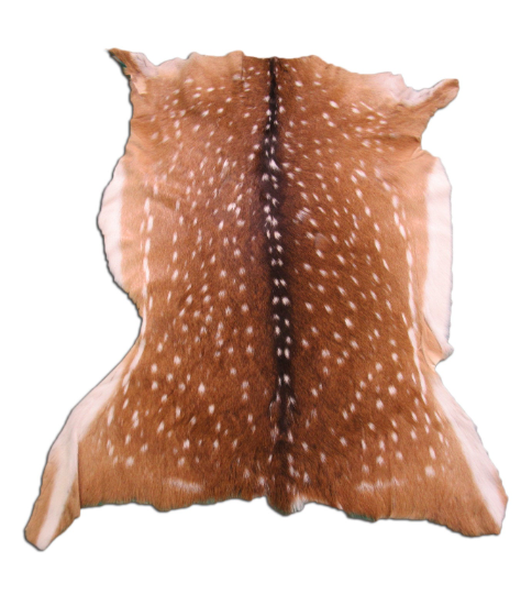 Axis Deer Hide Rug Grade Antelope Rug Axis Deer skin Argentina Axis ...