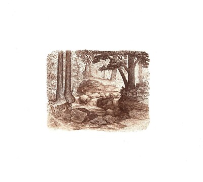 Engraving - Wooded Scene by Robert Swartley - Retired BEP engraver | eBay