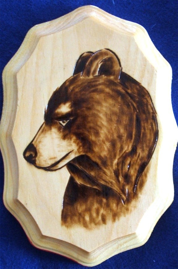 3 Oneida clans and the Overseer Wolf Bear Eagle Turtle 4 pieces Native ...