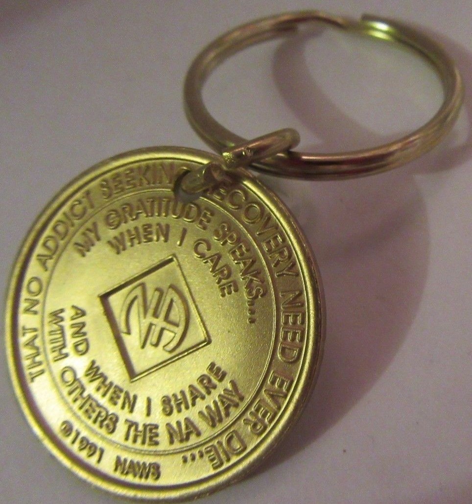 NARCOTICS ANONYMOUS NA KEY TAG 24 YEAR Keyring medallion Serenity Clean ...