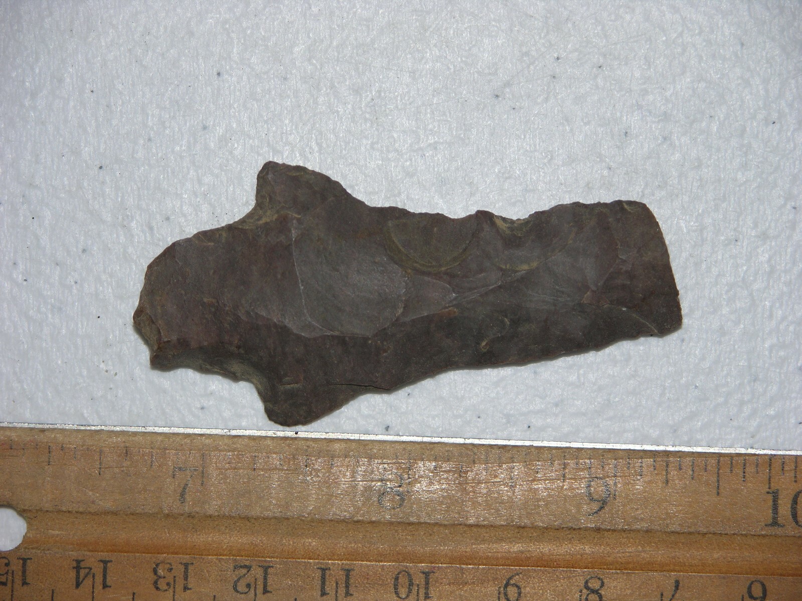 Hand scraper early man paleolithic acheulean tool Africa 2.25 inch S33 ...