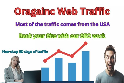 Get UNLIMITED targeted organic web traffic for 30 days | eBay