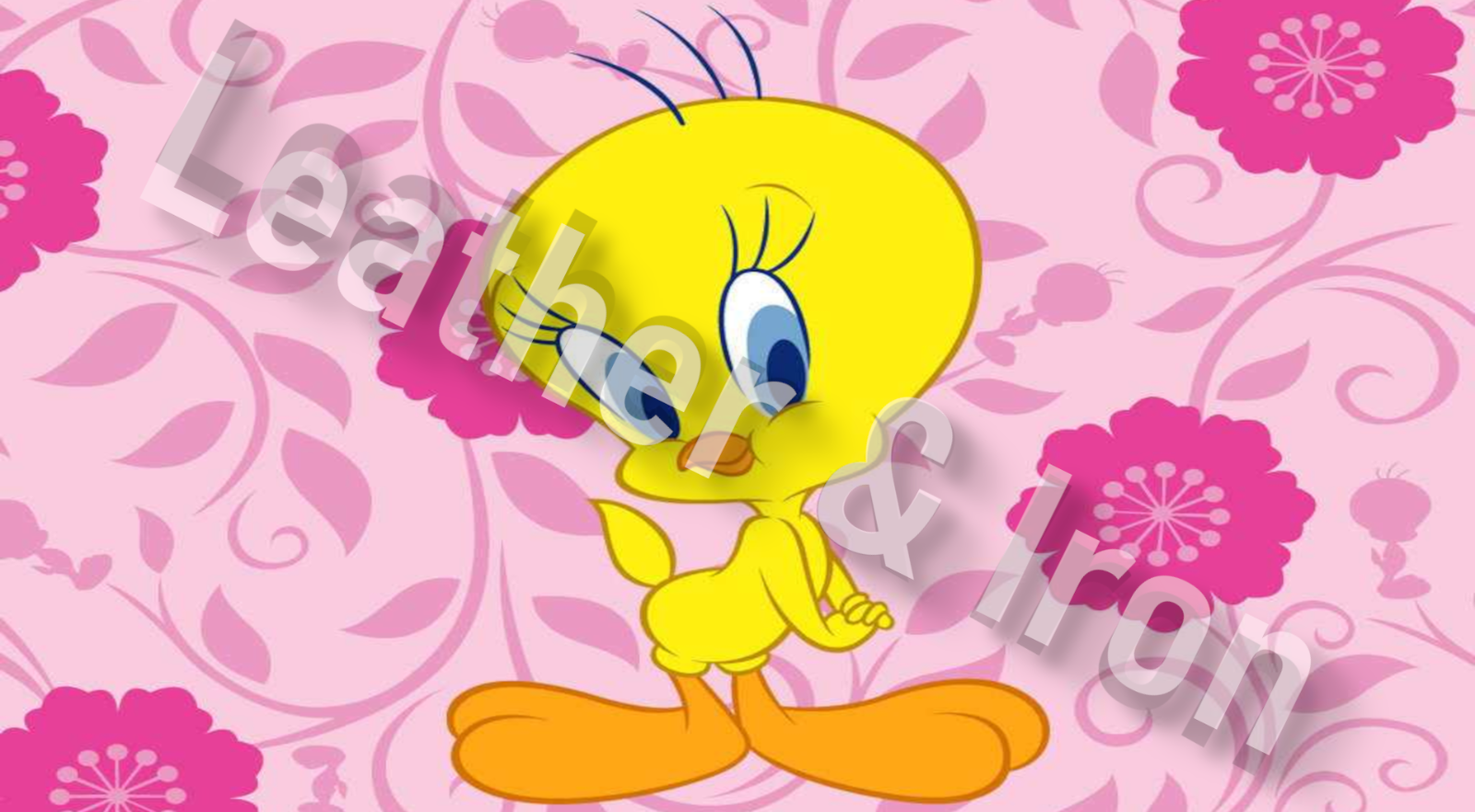 Tweety Bird Design Vinyl Checkbook Cover Tweety Pink | eBay