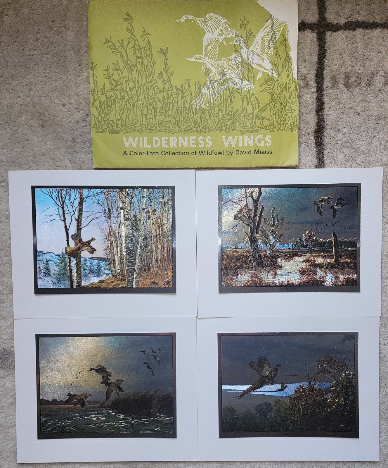 Vintage David Maass Wilderness Wings Color Foil Etch Wildfowl Prints ...