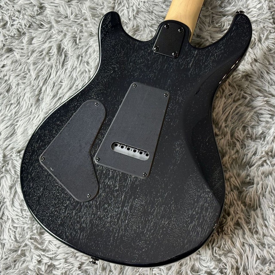 Paul Reed Smith(Prs) Paul Reed Smith Prs Se Ce 24 Standard/Black ...