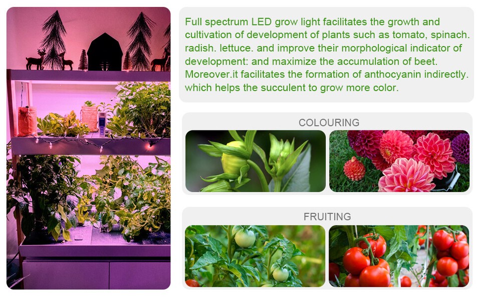 4-20 Pack T8 2FT/4FT LED Plant Grow Light LED Tube Full Spectrum Red ...