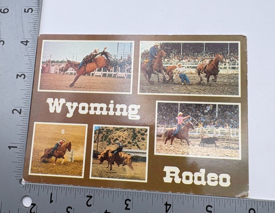 Vintage Postcard Wyoming Rodeo Collage Bronc Riding Calf Roping Bull ...