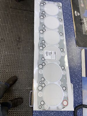 504385500 - 8.7 Liter IVECO Head Gasket ( New) | eBay