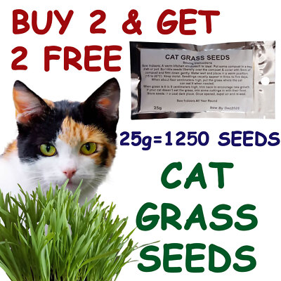 Cat Grass Seeds 25g BUY 2 GET 2 FREE - BUY 3 GET 3 FREE - BUY 4 GET 4 ...