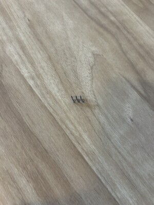 Ruger Old Army BP Revolver, Loading Lever Latch Spring, part# CB-69, RU ...