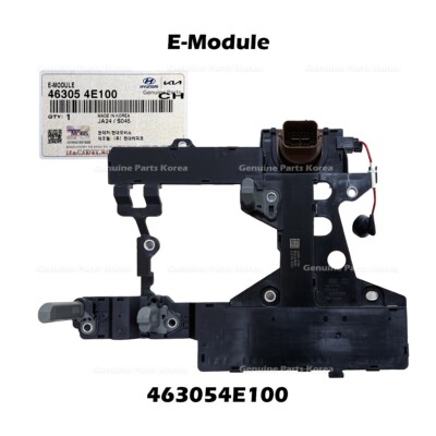 ⭐Genuine⭐ E-Module 463054E100 for Hyundai Equus Genesis | eBay