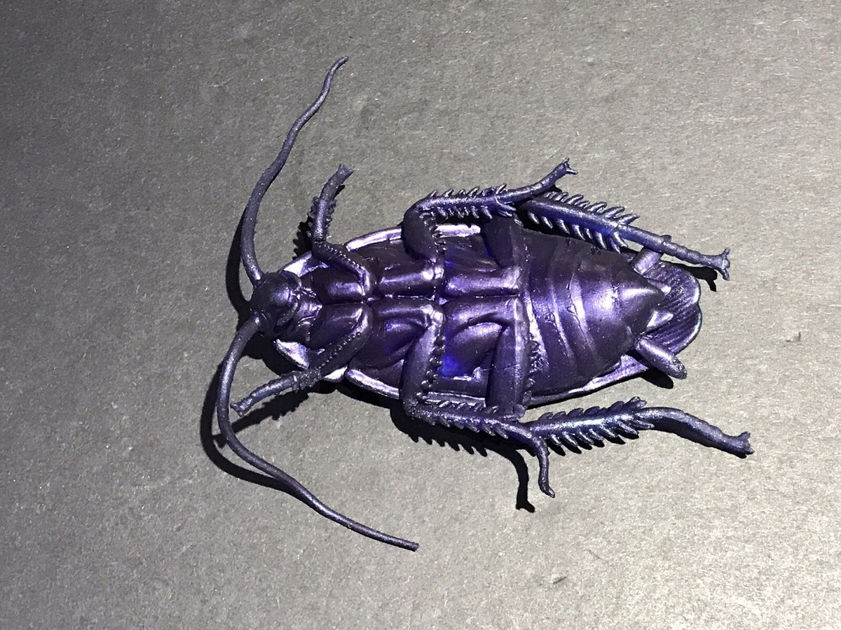 Giant Cockroach Monster