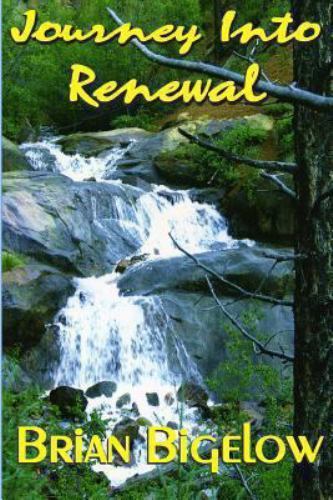 Journey into Renewal by Brian Bigelow (2012, Trade Paperback) for sale ...